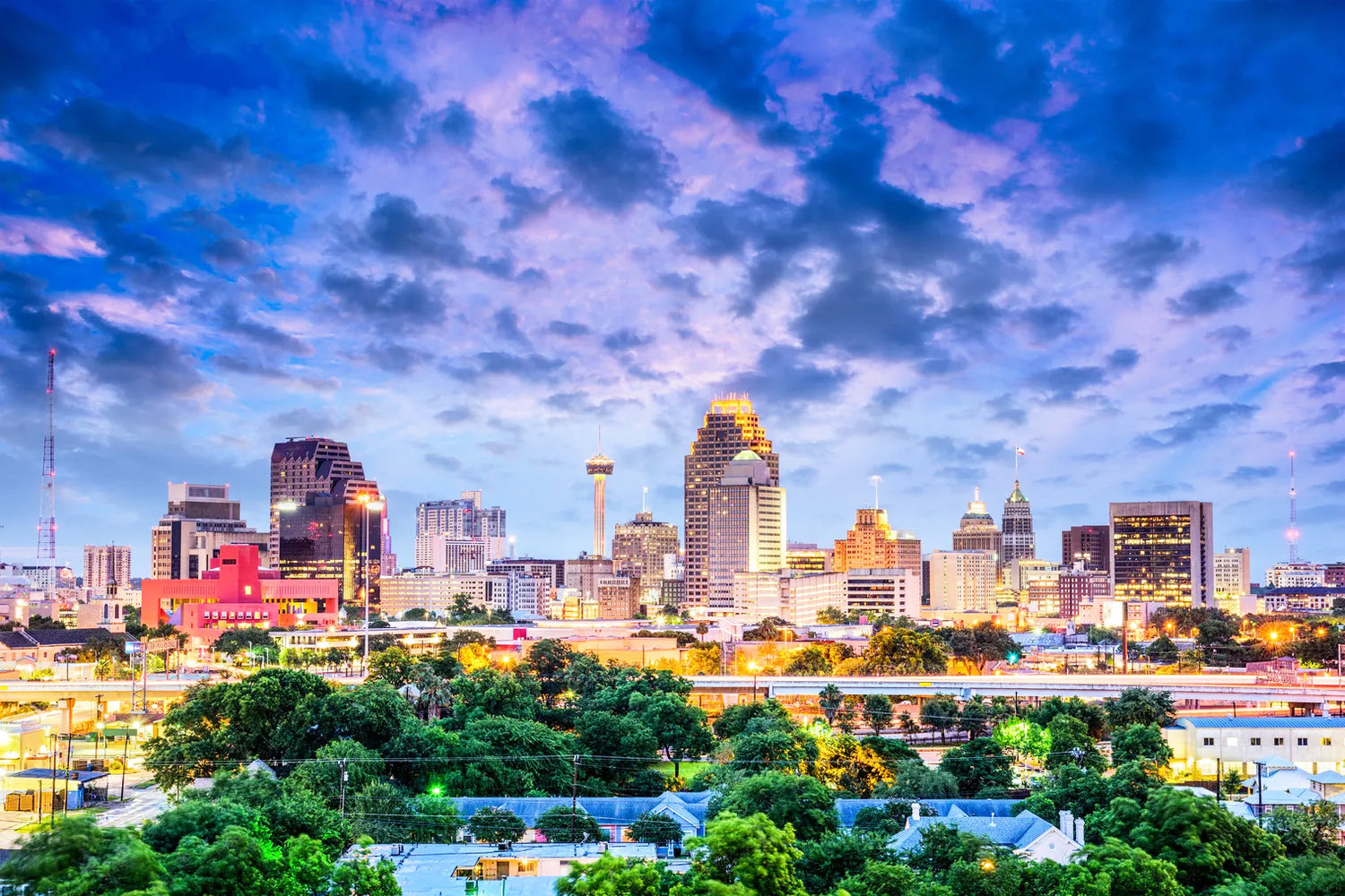 ROVERLUND Adventure & Travel Gear for Dogs