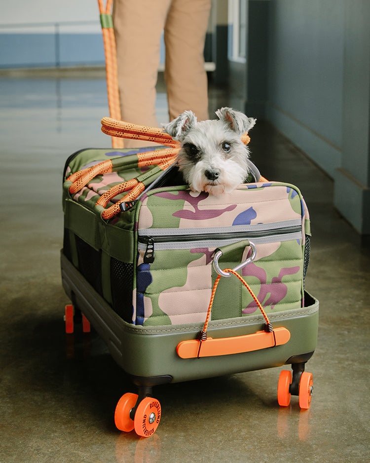 Airline-Compliant Pet Carrier | For pets up to 25lbs – ROVERLUND
