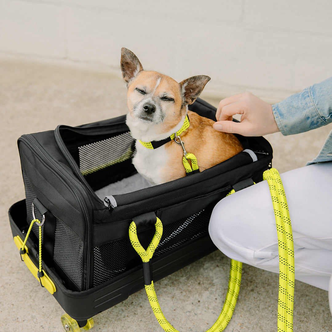 READY-TO-ROLL PET CARRIER WHEEL BASE – ROVERLUND
