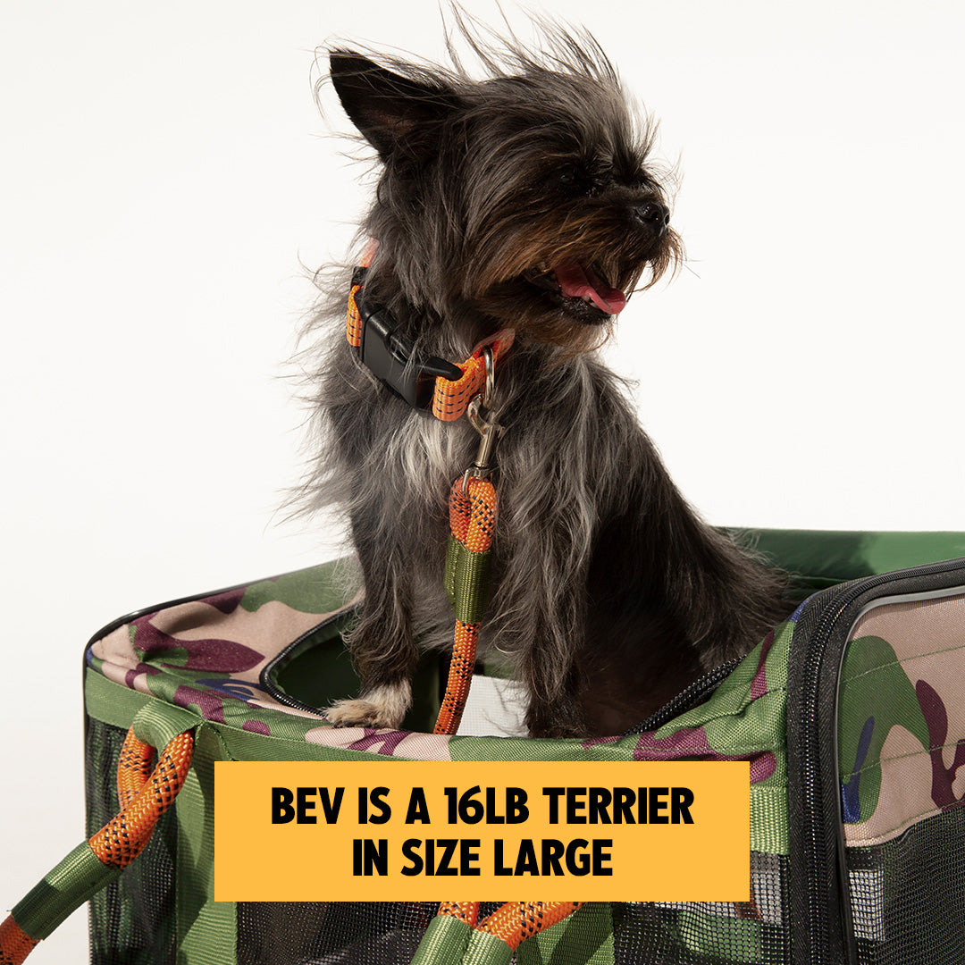 Airline-Compliant Pet Carrier | For pets up to 25lbs – ROVERLUND