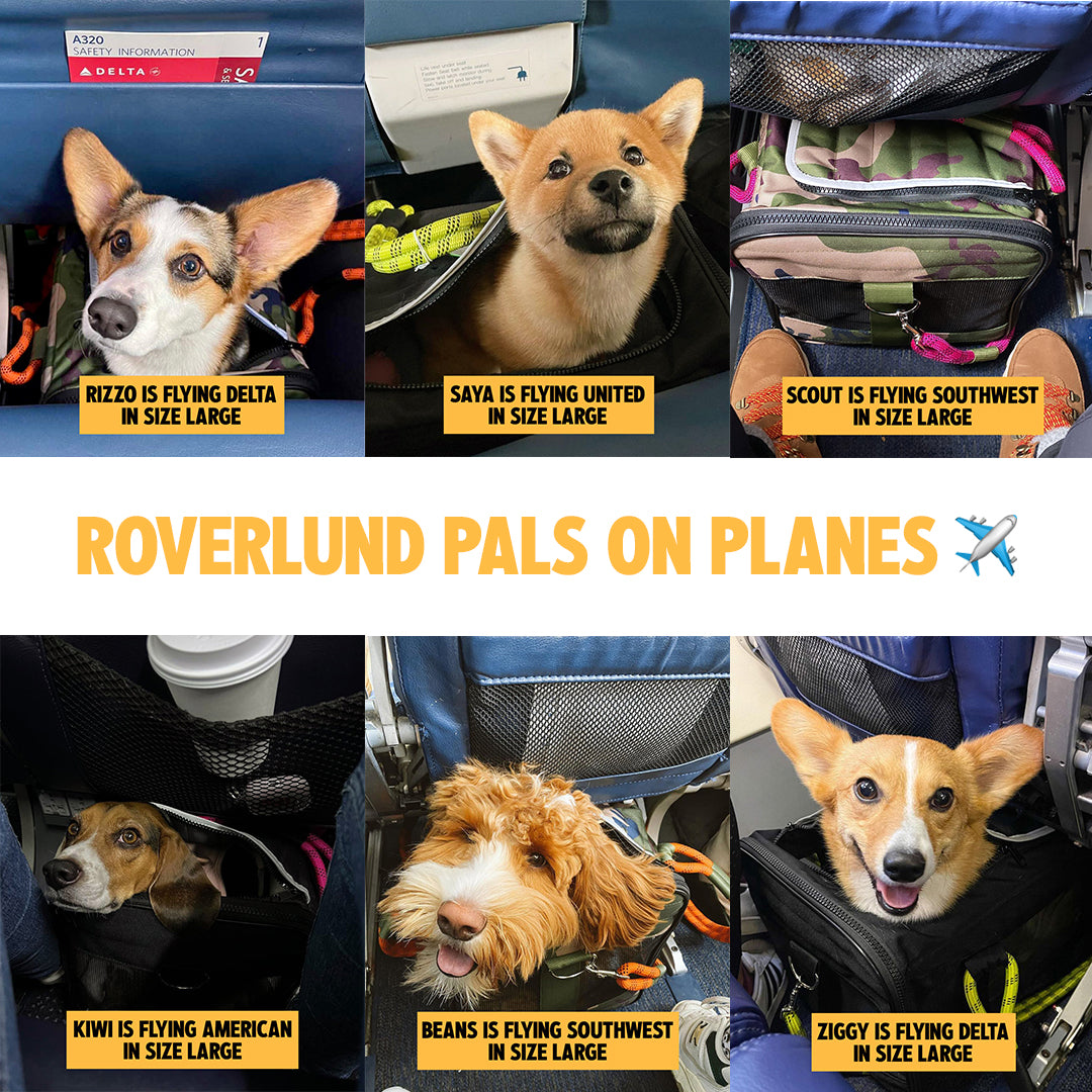 Airline-Compliant Pet Carrier | For pets up to 25lbs – ROVERLUND