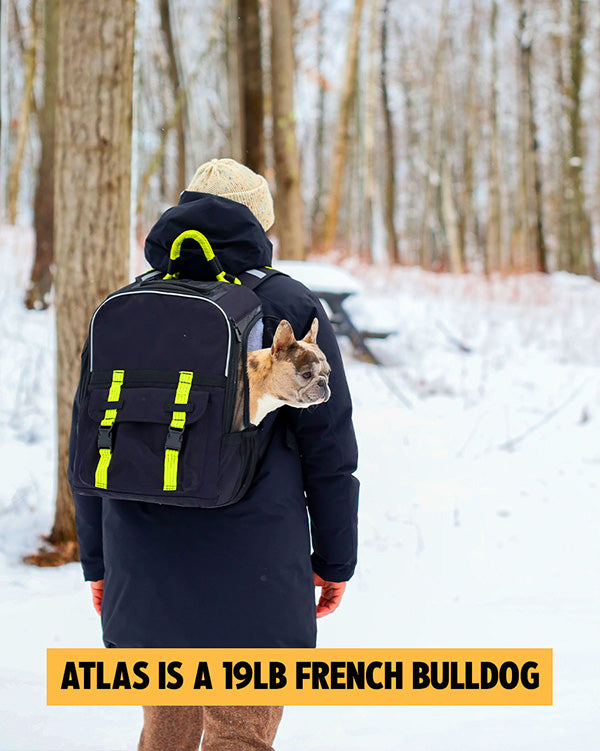 Airline-Compliant Pet Backpack Carrier | For pets up to 25lbs – ROVERLUND