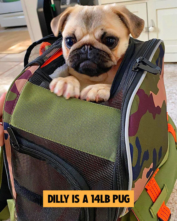 Airline-Compliant Pet Backpack | For pets up to 25lbs – ROVERLUND