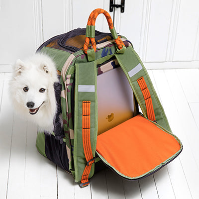 Airline-Compliant Pet Backpack Carrier | For pets up to 25lbs – ROVERLUND