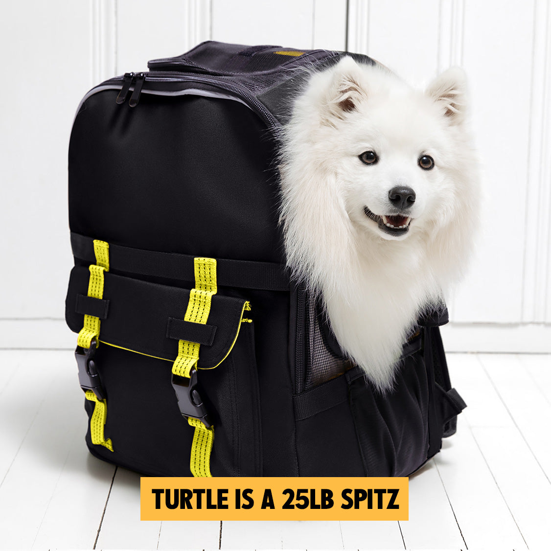 Airline-Compliant Pet Backpack | For pets up to 25lbs – ROVERLUND